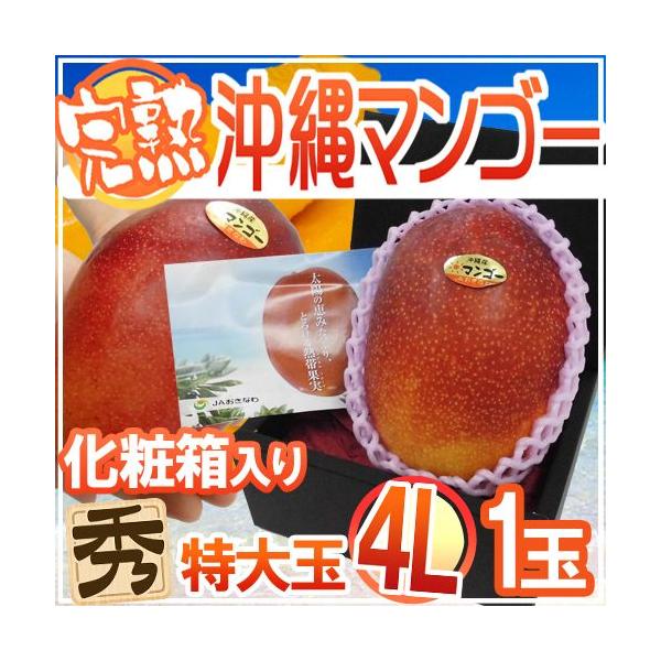 【発売日：2026年07月10日】【送料無料！】太陽をさんさんと浴びたトロピカル感♪トロ〜り濃厚天然スイーツ！宮崎県に負けない品質はさすが沖縄♪国産マンゴー発祥の地♪サンゴの力で育ちました！/フルーツ/果物/爆買