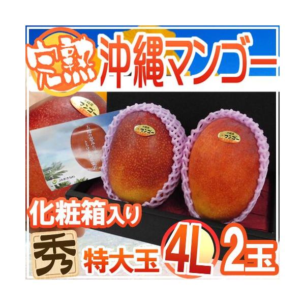 【発売日：2026年07月10日】【送料無料！】太陽をさんさんと浴びたトロピカル感♪トロ〜り濃厚天然スイーツ！宮崎県に負けない品質はさすが沖縄♪国産マンゴー発祥の地♪サンゴの力で育ちました！/フルーツ/果物/爆買