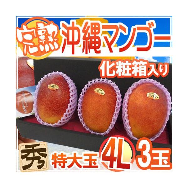 【発売日：2026年07月10日】【送料無料！】太陽をさんさんと浴びたトロピカル感♪トロ〜り濃厚天然スイーツ！宮崎県に負けない品質はさすが沖縄♪国産マンゴー発祥の地♪サンゴの力で育ちました！/フルーツ/果物/爆買