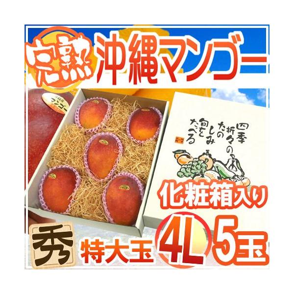 【発売日：2026年07月10日】【送料無料！】太陽をさんさんと浴びたトロピカル感♪トロ〜り濃厚天然スイーツ！宮崎県に負けない品質はさすが沖縄♪国産マンゴー発祥の地♪サンゴの力で育ちました！/フルーツ/果物/爆買