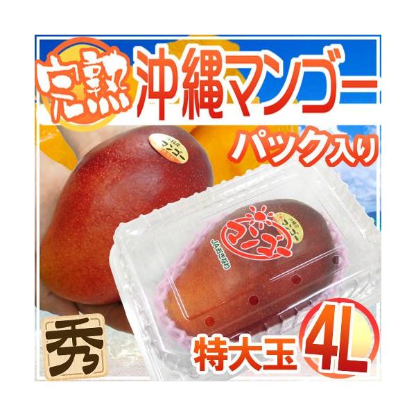 【発売日：2026年07月10日】太陽をさんさんと浴びたトロピカル感♪トロ〜り濃厚天然スイーツ！宮崎県に負けない品質はさすが沖縄♪国産マンゴー発祥の地♪サンゴの力で育ちました！/フルーツ/果物/爆買