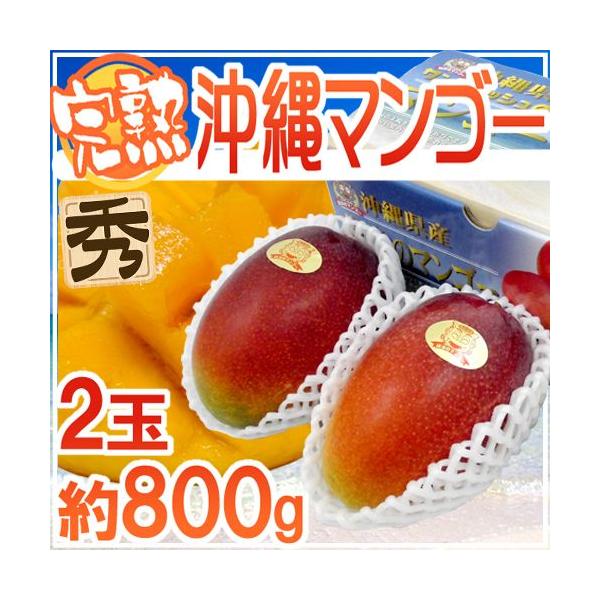 【発売日：2026年07月10日】【送料無料！】太陽をさんさんと浴びたトロピカル感♪トロ〜り濃厚天然スイーツ！宮崎県に負けない品質はさすが沖縄♪国産マンゴー発祥の地♪サンゴの力で育ちました！/フルーツ/果物/爆買
