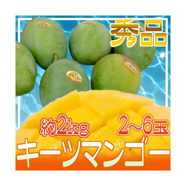 【発売日：2026年08月15日】《送料無料》（北海道は送料1,000円、沖縄県は送料2,000円頂戴いたします）発送時期の目安はタイトルに記載。（天候・入荷状況によってはお届け時期が大幅に前後することがございます。ご予約商品のためお届け日...