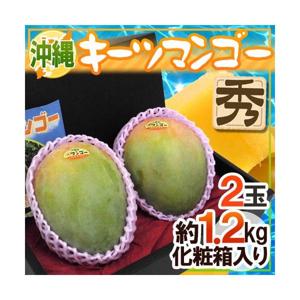 【発売日：2026年08月15日】《送料無料》（北海道は送料1,000円、沖縄県は送料2,000円頂戴いたします）発送時期の目安はタイトルに記載。（天候・入荷状況によってはお届け時期が大幅に前後することがございます。ご予約商品のためお届け日...