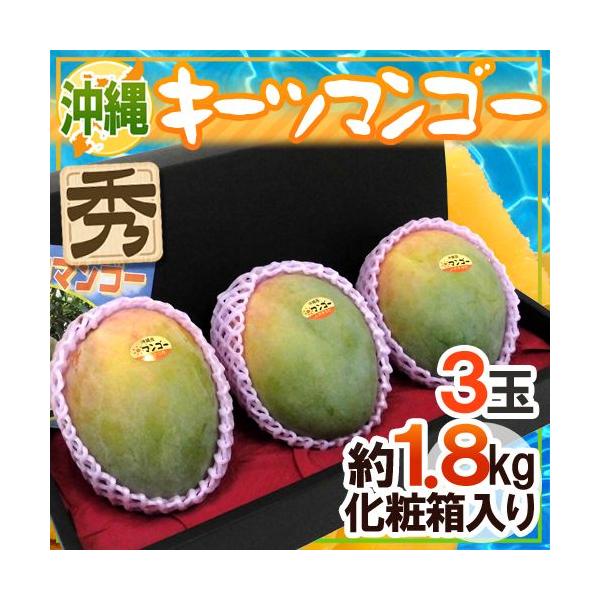 【発売日：2026年08月15日】《送料無料》（北海道は送料1,000円、沖縄県は送料2,000円頂戴いたします）発送時期の目安はタイトルに記載。（天候・入荷状況によってはお届け時期が大幅に前後することがございます。ご予約商品のためお届け日...