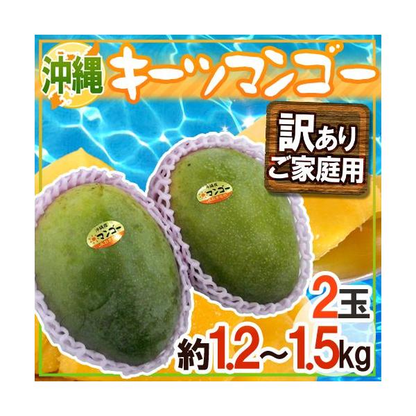 【発売日：2026年08月15日】《送料無料》（北海道は送料1,000円、沖縄県は送料2,000円頂戴いたします）発送時期の目安はタイトルに記載。（天候・入荷状況によってはお届け時期が大幅に前後することがございます。ご予約商品のためお届け日...