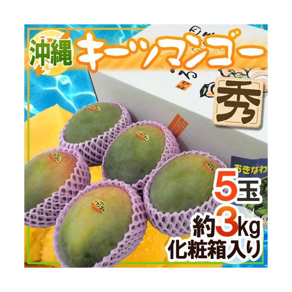 【発売日：2026年08月15日】《送料無料》（北海道は送料1,000円、沖縄県は送料2,000円頂戴いたします）発送時期の目安はタイトルに記載。（天候・入荷状況によってはお届け時期が大幅に前後することがございます。ご予約商品のためお届け日...