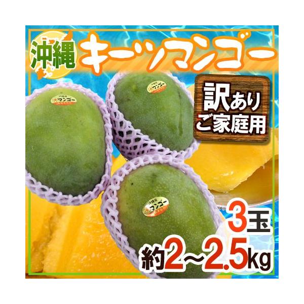 【発売日：2026年08月15日】《送料無料》（北海道は送料1,000円、沖縄県は送料2,000円頂戴いたします）発送時期の目安はタイトルに記載。（天候・入荷状況によってはお届け時期が大幅に前後することがございます。ご予約商品のためお届け日...