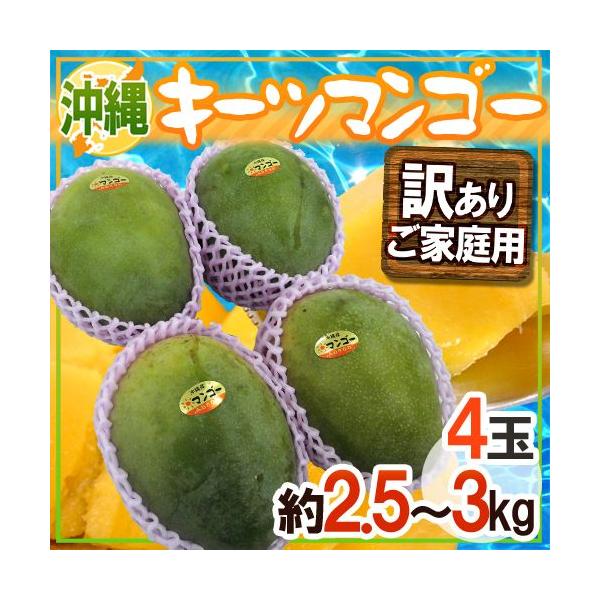 【発売日：2026年08月15日】《送料無料》（北海道は送料1,000円、沖縄県は送料2,000円頂戴いたします）発送時期の目安はタイトルに記載。（天候・入荷状況によってはお届け時期が大幅に前後することがございます。ご予約商品のためお届け日...