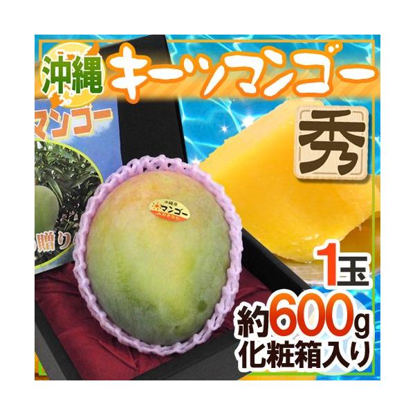 【発売日：2026年08月15日】《送料無料》（北海道は送料1,000円、沖縄県は送料2,000円頂戴いたします）発送時期の目安はタイトルに記載。（天候・入荷状況によってはお届け時期が大幅に前後することがございます。ご予約商品のためお届け日...
