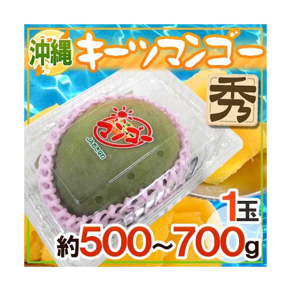 【発売日：2026年08月15日】送料900円（北海道は送料1,900円、沖縄県は送料2,900円頂戴致します）発送時期の目安はタイトルに記載。（天候・入荷状況によってはお届け時期が大幅に前後することがございます。ご予約商品のためお届け日の...