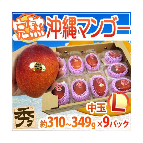 【発売日：2026年07月10日】太陽をさんさんと浴びたトロピカル感♪トロ〜り濃厚天然スイーツ！宮崎県に負けない品質はさすが沖縄♪国産マンゴー発祥の地♪サンゴの力で育ちました！/フルーツ/果物/爆買