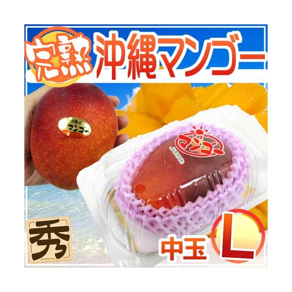 【発売日：2026年07月10日】太陽をさんさんと浴びたトロピカル感♪トロ〜り濃厚天然スイーツ！宮崎県に負けない品質はさすが沖縄♪国産マンゴー発祥の地♪サンゴの力で育ちました！/フルーツ/果物/爆買