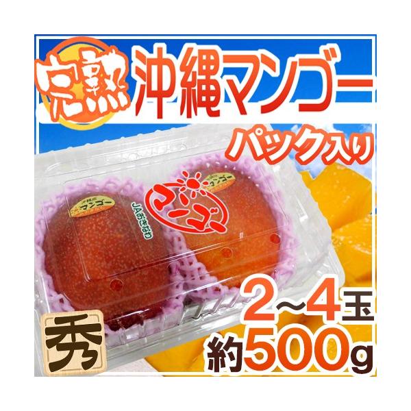 【発売日：2026年07月10日】太陽をさんさんと浴びたトロピカル感♪トロ〜り濃厚天然スイーツ！宮崎県に負けない品質はさすが沖縄♪国産完熟マンゴー発祥の地♪サンゴの力で育ちました！/フルーツ/果物/爆買