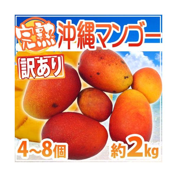 【発売日：2026年07月25日】太陽をさんさんと浴びたトロピカル感♪トロ〜り濃厚天然スイーツ！宮崎県に負けない沖縄品質のマンゴーがとってもお買い得♪国産マンゴー発祥の地♪/フルーツ/果物/2キロ/爆買