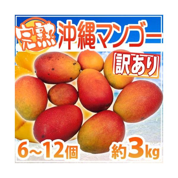 【発売日：2026年07月25日】太陽をさんさんと浴びたトロピカル感♪トロ〜り濃厚天然スイーツ！宮崎県に負けない沖縄品質のマンゴーがとってもお買い得♪国産マンゴー発祥の地♪/フルーツ/果物/3キロ/爆買