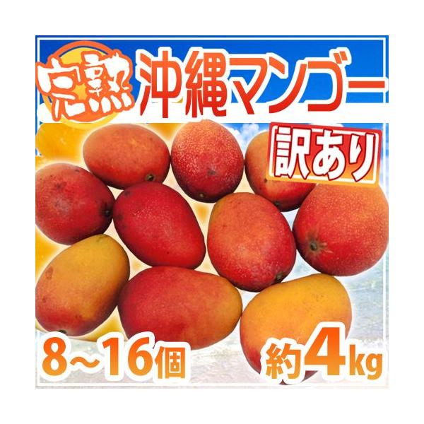 【発売日：2026年07月25日】太陽をさんさんと浴びたトロピカル感♪トロ〜り濃厚天然スイーツ！宮崎県に負けない沖縄品質のマンゴーがとってもお買い得♪国産マンゴー発祥の地♪/フルーツ/果物/4キロ/爆買