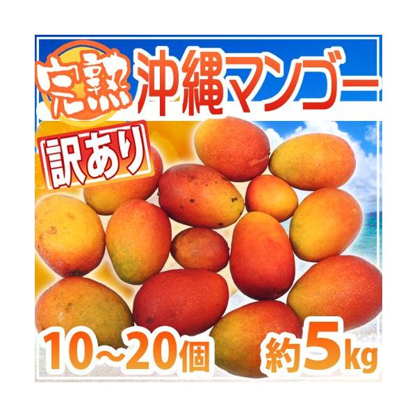 【発売日：2026年07月25日】太陽をさんさんと浴びたトロピカル感♪トロ〜り濃厚天然スイーツ！宮崎県に負けない沖縄品質のマンゴーがとってもお買い得♪国産マンゴー発祥の地♪/フルーツ/果物/5キロ/爆買