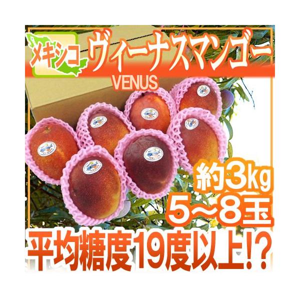 【発売日：2026年04月10日】【送料無料】これは甘い！メキシコマンゴーの最高峰ブランド♪平均糖度19度以上といわれる濃厚な甘さは驚きの一言！一度食べたらファンになる！？ヤミツキマンゴーです！/VENUSマンゴー/フルーツ/果物/3キロ/爆買