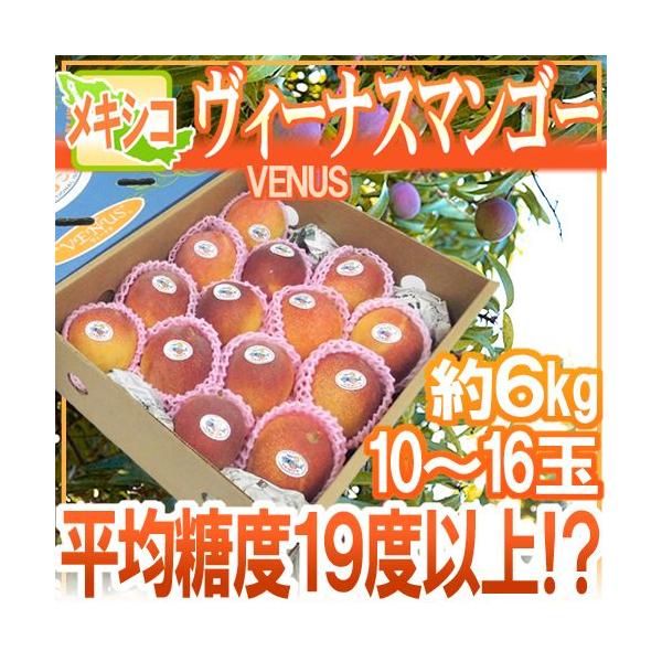 【発売日：2026年04月10日】【送料無料】これは甘い！メキシコマンゴーの最高峰ブランド♪平均糖度19度以上といわれる濃厚な甘さは驚きの一言！一度食べたらファンになる！？ヤミツキマンゴーです！/VENUSマンゴー/フルーツ/果物/6キロ/...