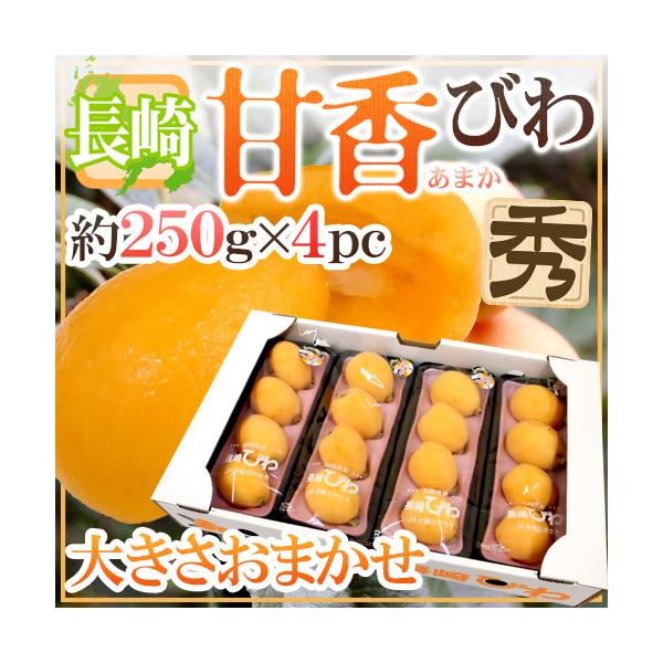 【発売日：2026年04月25日】【送料無料】大きくて、高糖度、肉厚でやわらかジュ〜シ〜な注目の新品種びわ「長崎甘香」涼しげな夏の贈り物として人気の果物です♪希少品種がお買い得価格♪/フルーツ/果物/爆買