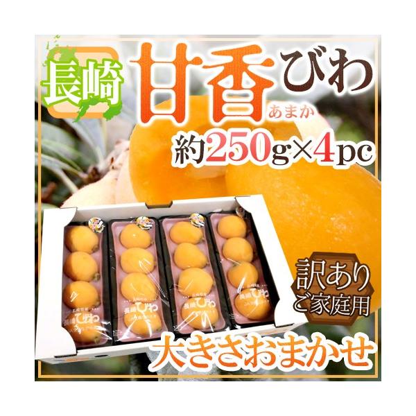【発売日：2026年04月25日】【送料無料】大きくて、高糖度、肉厚でやわらかジュ〜シ〜な注目の新品種びわ「長崎甘香」涼しげな夏の贈り物として人気の果物です♪希少品種がお買い得価格♪/フルーツ/果物/爆買