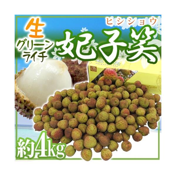 【発売日：2026年05月25日】【送料無料！】楊貴妃の愛したフルーツ・ライチ。冷凍とはくらべものにならない豊かな味わいを持つ生のライチを期間限定でお届け！本場でも人気のグリーンライチは瑞々しく、豊かな風味と甘さ！ライチ/レイシ/茘枝/玉荷...