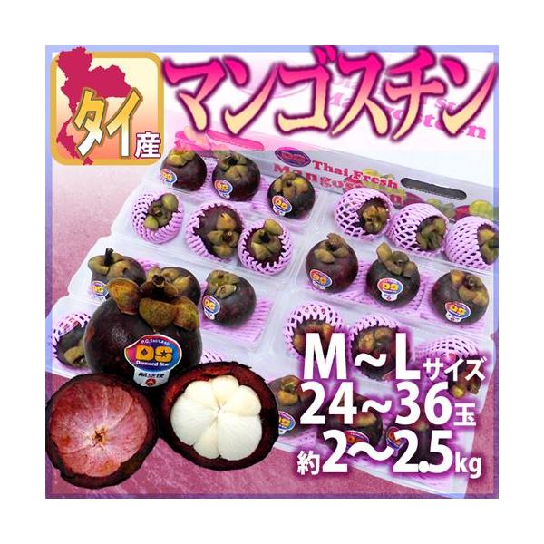【発売日：2026年04月15日】【送料無料】清涼感たっぷりの真っ白な果肉は果汁たっぷり。トロピカルフルーツならではの繊細で強い甘みが特徴の貴重なフルーツ♪「中元」/フルーツ/果物/2.5キロ/爆買