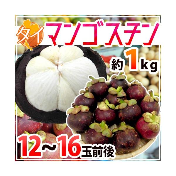【発売日：2026年04月15日】【送料無料】清涼感たっぷりの真っ白な果肉は果汁たっぷり。トロピカルフルーツならではの繊細で強い甘みが特徴の貴重なフルーツ♪「中元」/フルーツ/果物/1キロ/爆買