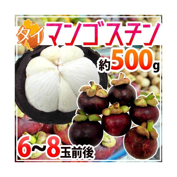 【発売日：2026年04月15日】【送料無料】清涼感たっぷりの真っ白な果肉は果汁たっぷり。トロピカルフルーツならではの繊細で強い甘みが特徴の貴重なフルーツ♪「中元」/フルーツ/果物/爆買
