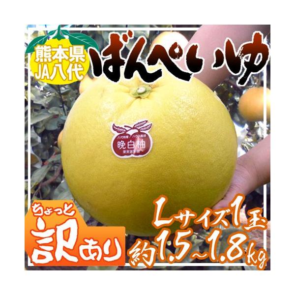 【発売日：2025年12月10日】【送料無料】厳格な品質管理で高いクオリティを維持するブランドメロン「夕張メロン」！その香り、甘さ、柔らかさは食べた人を魅了します♪「御中元」/フルーツ/果物/1.6キロ/爆買