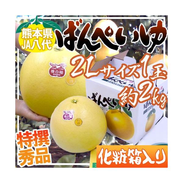 【発売日：2025年12月10日】【送料無料】ドでかい！世界最大級の柑橘「晩白柚」爽やかな柑橘の香が広がり、果肉は上品な甘さでプリプリプチプチ！厚い皮はお菓子にしたりお風呂に入れたり、いろいろ使えて捨てるところがほとんどありません♪/フルー...