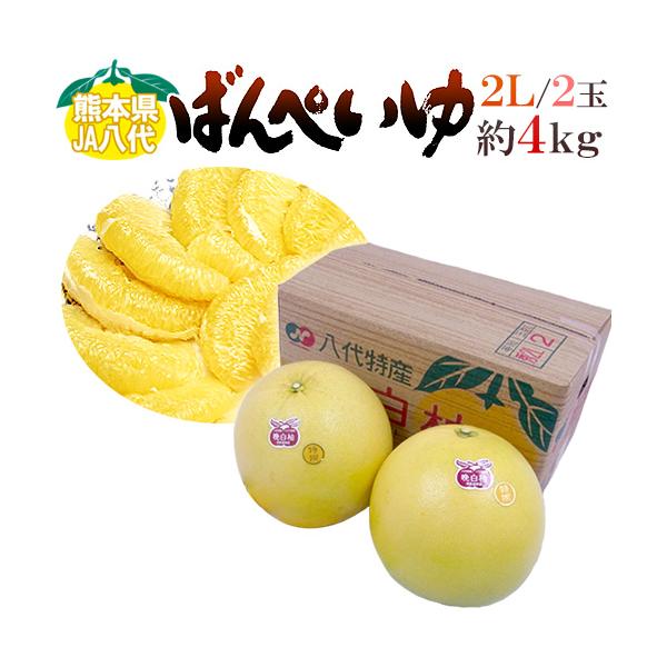 【発売日：2025年12月10日】【送料無料】ドでかい！世界最大級の柑橘「晩白柚」爽やかな柑橘の香が広がり、果肉は上品な甘さでプリプリプチプチ！厚い皮はお菓子にしてもおいしくていい香り♪/フルーツ/果物/2キロ/爆買