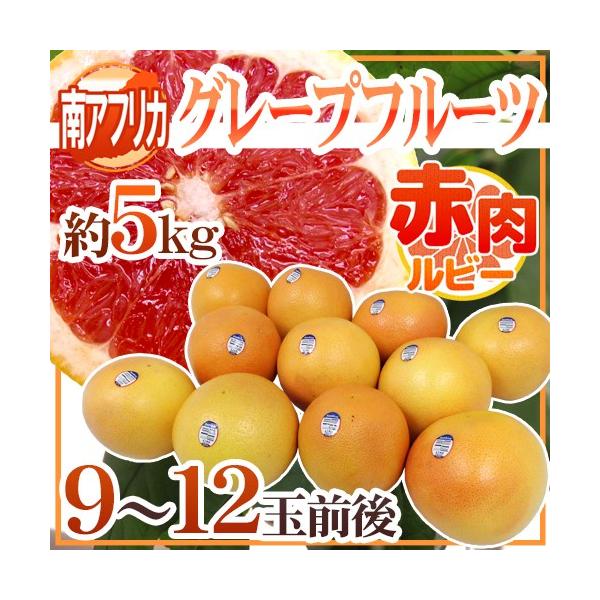【発売日：2026年06月25日】【送料無料！】実はおいしくなっている♪南アフリカ産グレープフルーツ！ぎゅっと締まった食べごたえある果肉は苦みと酸味が少なく、甘い！毎日の健康にも♪/フルーツ/果物/5キロ/爆買