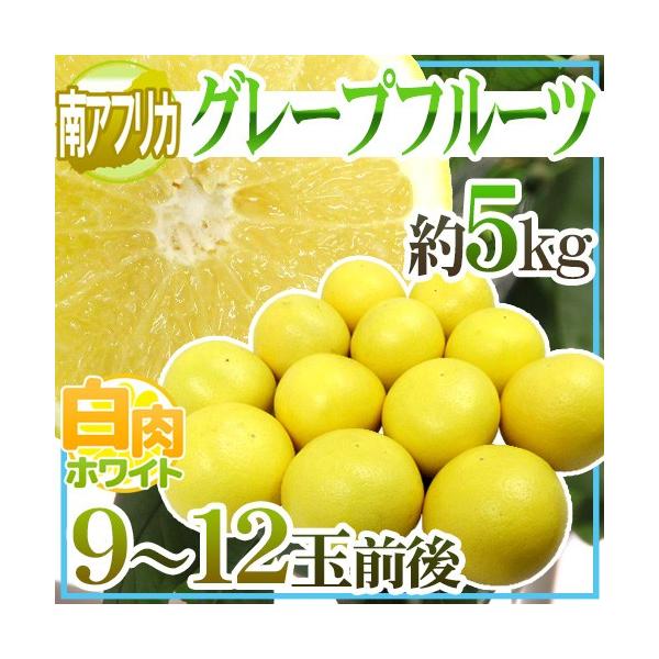 【発売日：2026年06月25日】【送料無料！】実はおいしくなっている♪南アフリカ産グレープフルーツ！ぎゅっと締まった食べごたえある果肉は苦みと酸味が少なく、甘い！毎日の健康にも♪/フルーツ/果物/5キロ/爆買
