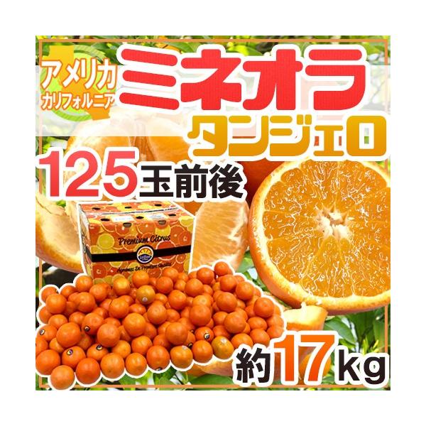 【発売日：2026年03月10日】【送料無料】アメリカのデコポン！？ポコンと飛び出た凸がカワイイ♪種がほとんどなく、手で簡単に剥ける！！瑞々しさバツグンで甘酸っぱさもバッチリです！ミネオラ/タンジェリン/ミネオラタンジェロ/カリフォルニアオ...
