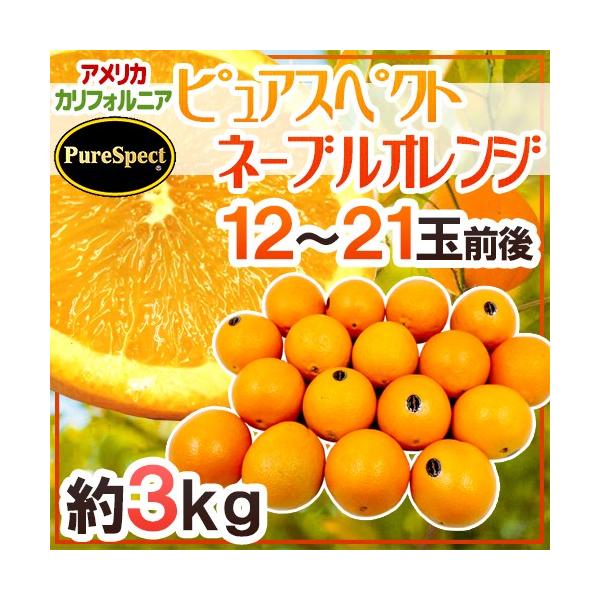 【発売日：2026年01月31日】【送料無料】最低糖度１２度以上保証！プレミアムネーブルオレンジ「ピュアスペクト」華やかな香りと瑞々しい甘さは「これぞ、オレンジの旨み！」カリフォルニアネーブル/オレンジ/みかん/PureSpect/アメリカ...
