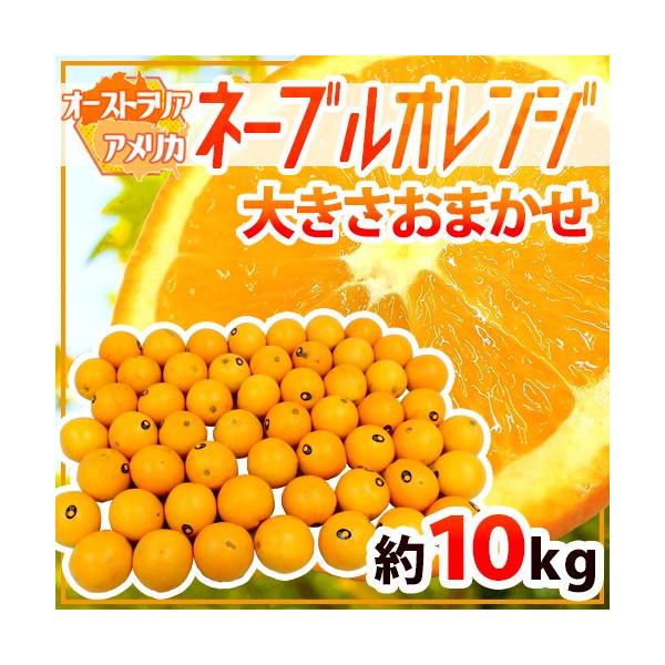 【発売日：2018年07月01日】【送料無料】華やかな香りと濃厚な甘酸っぱさは満足感バツグン！その時旬の産地のオレンジをお届け♪フレッシュオレンジならではの味わいです！オーストラリアネーブル/オレンジ/みかん/オーストラリア産/アメリカ産/...
