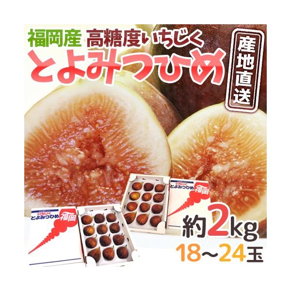 【発売日：2026年08月25日】産地直送で超新鮮！いちじく界の革命児！滑らかな食感、上品でしっかりとした甘さ、独特の豊かな風味！皮も柔らかいから丸ごと食べられちゃう♪注目の新品種です！ イチジク/いちぢく/イチヂク/無花果/豊蜜姫/とよみ...