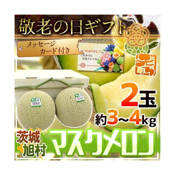 【発売日：2026年09月13日】【送料無料】当店でも人気のメロン産地・茨城県旭村のマスクメロン！全果光センサーで管理されたハイテクメロンは安定した味わいで贈答にも最適♪おじいちゃん・おばあちゃんに♪マスクメロン/温室メロン/青肉メロン/旭...