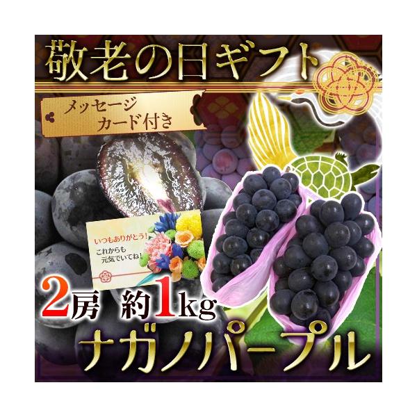 【発売日：2026年09月13日】【送料無料】種なしで皮ごと食べられてあま〜い！瑞々しいフルーツを敬老の日に贈る♪人気の【ナガノパープル】をおじいちゃん・おばあちゃんに！頬張れば口いっぱいに濃厚な甘さが広がります♪おじいちゃん・おばあちゃん...