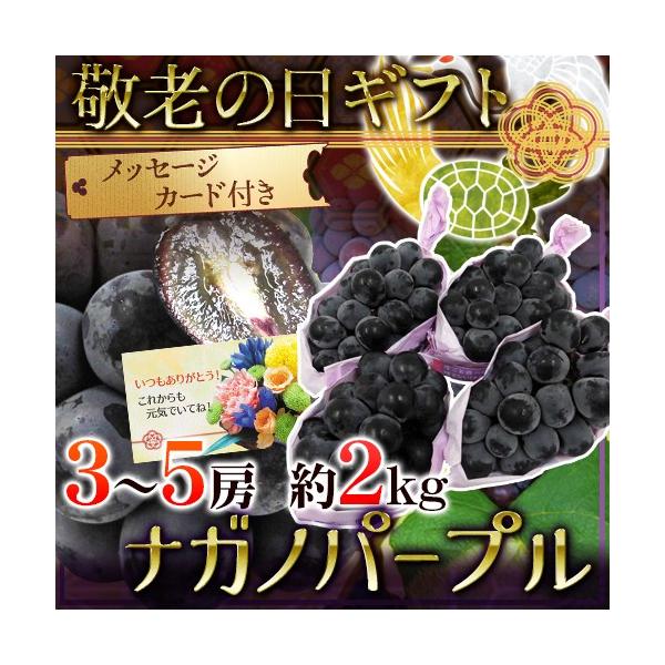 【発売日：2026年09月13日】【送料無料】種なしで皮ごと食べられてあま〜い！瑞々しいフルーツを敬老の日に贈る♪人気の【ナガノパープル】をおじいちゃん・おばあちゃんに！頬張れば口いっぱいに濃厚な甘さが広がります♪おじいちゃん・おばあちゃん...