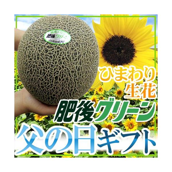 【発売日：2026年06月08日】【送料無料】メロン品種の中で最も甘いといわれるほどの甘さを持つ肥後グリーンと父の日に感謝を伝えるひまわり生花の特別セット！甘いものが好きなお父さんに♪父の日/2021/プレゼント/ギフト/50代/60代/7...