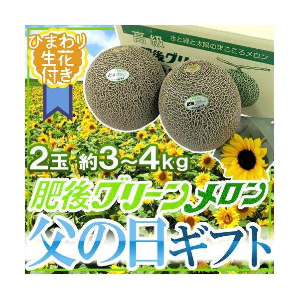 【発売日：2026年06月08日】【送料無料】メロン品種の中で最も甘いといわれるほどの甘さを持つ肥後グリーンと父の日に感謝を伝えるひまわり生花の特別セット！甘いものが好きなお父さんに♪父の日/2021/プレゼント/ギフト/50代/60代/7...