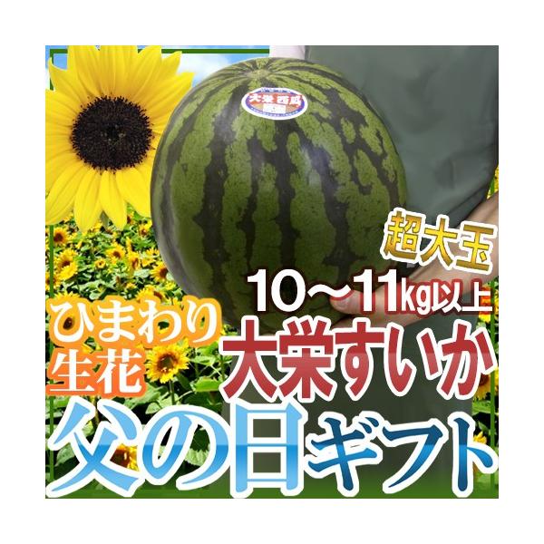 【発売日：2026年06月08日】【送料無料】ドでかいすいかでお父さんに感謝の気持ちを伝える特別ギフト！お父さんが持っても重い！？食べごたえ抜群のすいかとひまわりの生花セット！父の日/2021/プレゼント/ギフト/50代/60代/70代/8...