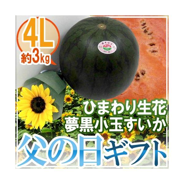 【発売日：2026年06月08日】【送料無料】小玉すいかだけどシャリシャリ感・甘さ・食べごたえどれも抜群の黒皮小玉すいかでお父さんに感謝を伝えるギフト♪すいか好きのお父さんに！父の日/2021/プレゼント/ギフト/50代/60代/70代/8...