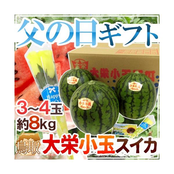 【発売日：2026年06月08日】【送料無料】人気の大栄すいかの小玉版でお父さんに感謝を伝えるギフトセット！大玉スイカに負けない甘さとシャリシャリ食感はきっとお父さんも喜んでくれるハズ♪父の日/2021/プレゼント/ギフト/50代/60代/...