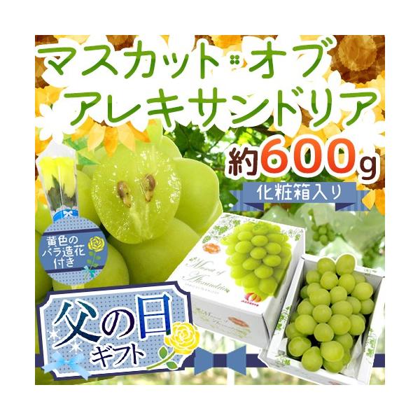 【発売日：2026年06月08日】【送料無料】高貴な香りと上品な味わいの「ぶどうの女王」マスカットオブアレキサンドリアと黄色バラ造花でお父さんに感謝を伝えるセット♪気品ある味わいがたまらない♪父の日/2021/プレゼント/ギフト/50代/6...