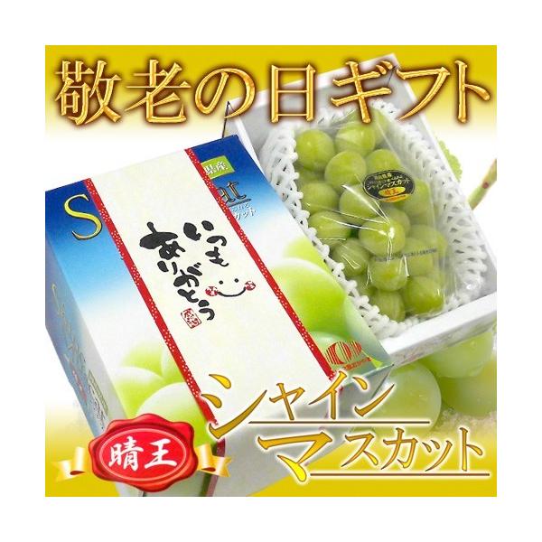 【発売日：2026年09月13日】【送料無料】種なしで皮ごと食べられ、高糖度！人気の【シャインマスカット「晴王」】をおじいちゃん・おばあちゃんに♪立派な専用化粧箱入りで、感謝の気持ちを伝える帯を付けてお届けします！大房で美しい姿は見て感動！...