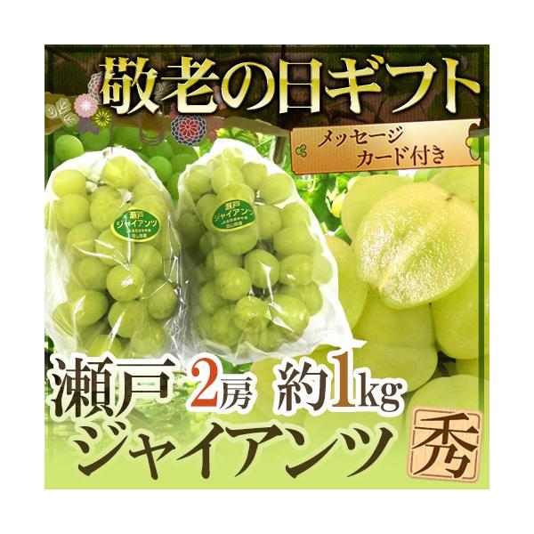 【発売日：2026年09月13日】【送料無料】種なしで皮ごと食べられ、高糖度！爽やかでスッキリした甘さが魅力の【瀬戸ジャイアンツぶどう】をおじいちゃん・おばあちゃんに♪立派な化粧箱入りで、感謝の気持ちを伝える帯を付けてお届けします！大房で美...